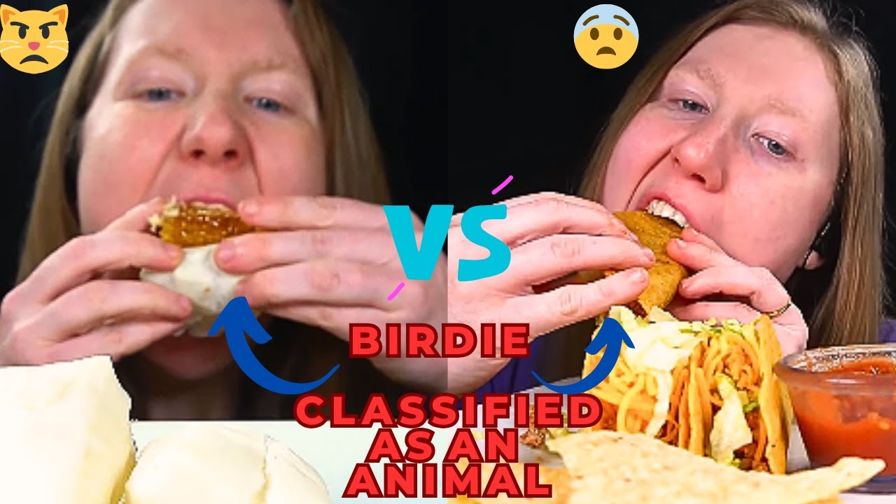 Songbyrd Asmr a classified wild animal ? || Songbyrd cringe || songbyrd ...