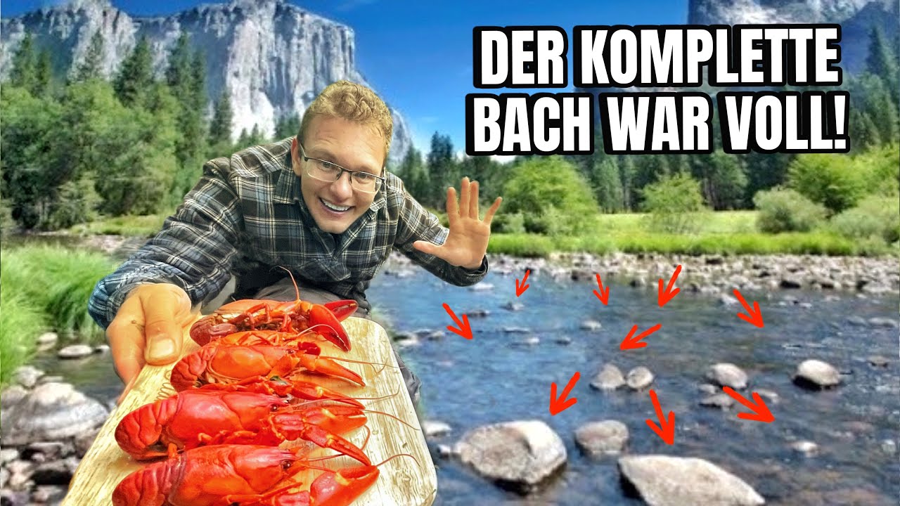 CHALLENGE: Alle KREBSE aus dem Bach FANGEN, SCHLACHTEN und AUFESSEN ...