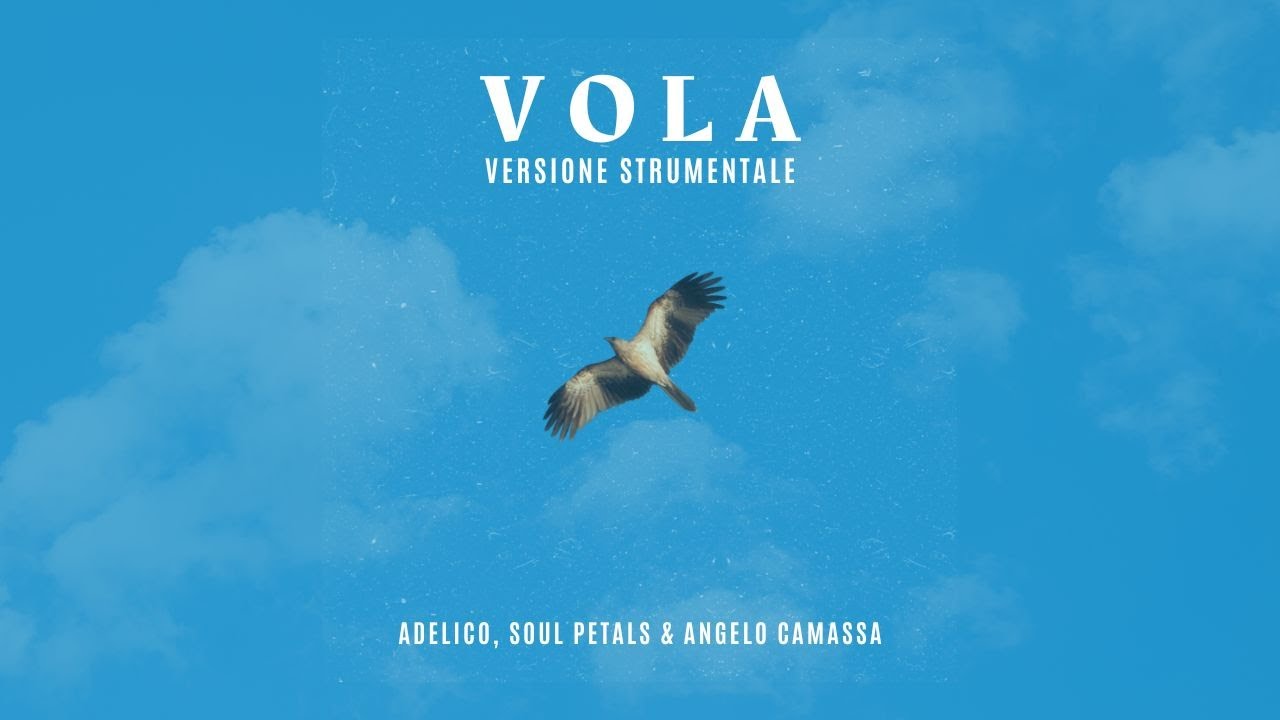 Vola - Angelo Camassa, Adelico & Soul Petals - Versione Strumentale ...