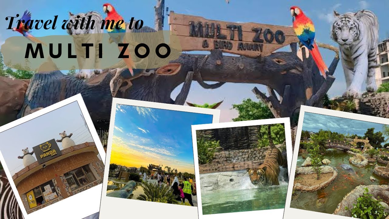 Visit to Multi Zoo & Bird Aviary🪶Vlog 28 - YouTube