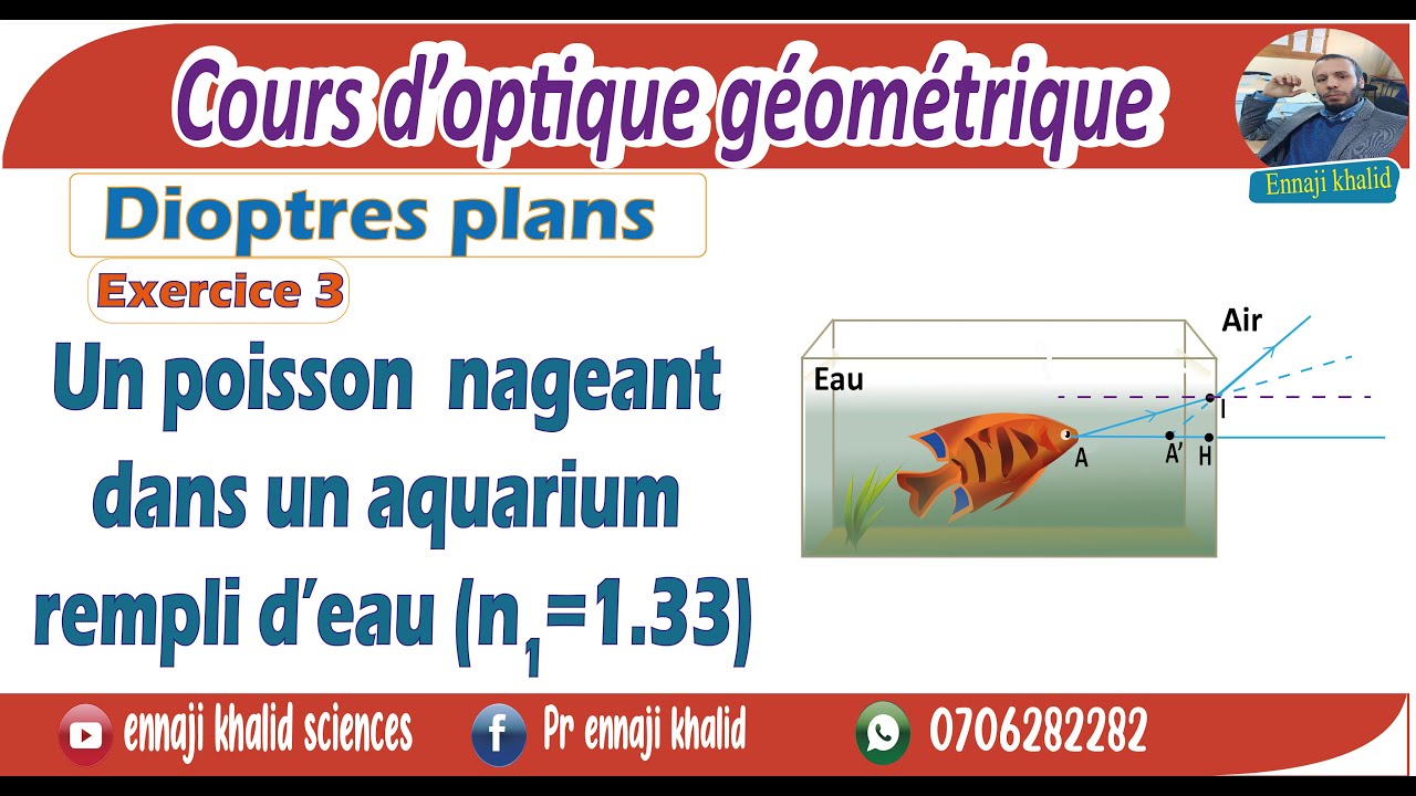 Réfraction de la lumière dans un aquarium avec un Poisson - YouTube