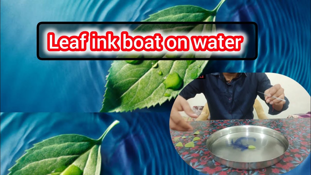 Leaf ink boat floats on water ! Is it's possible? #leaf #ink #boats # ...