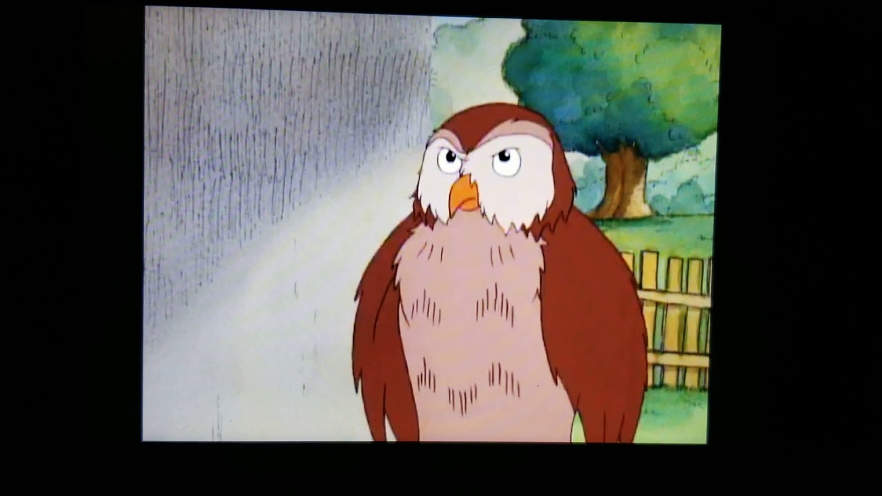 Owl - Doctor Little Bear - YouTube