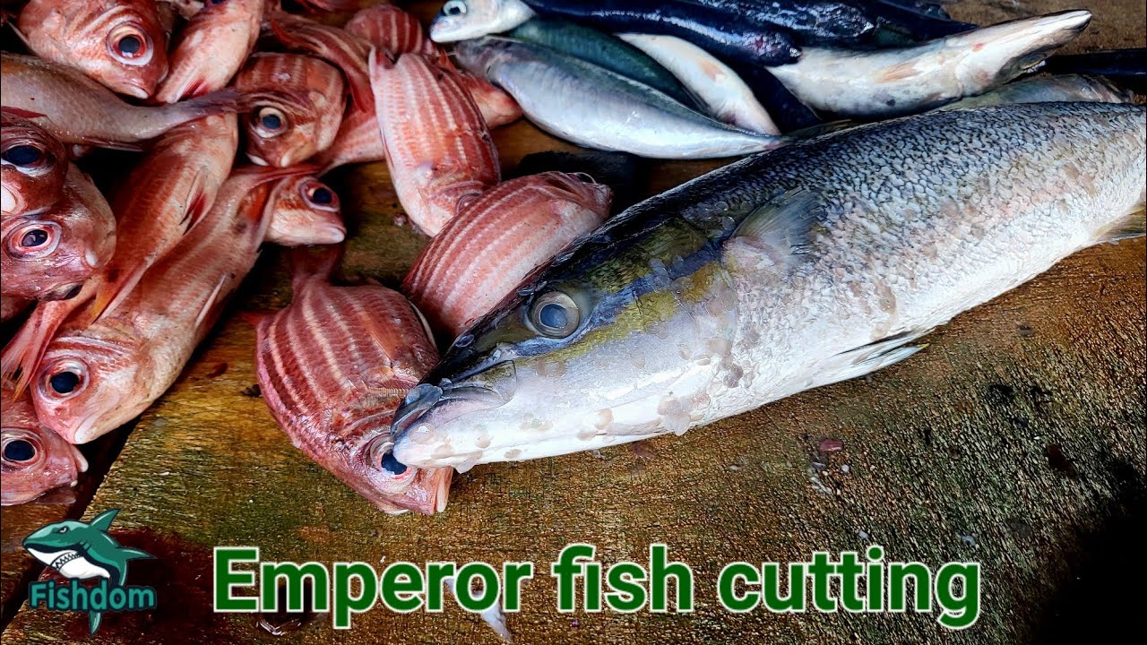Awsome ! Emperor fish cutting and chopping skills in village | Fishdom ...