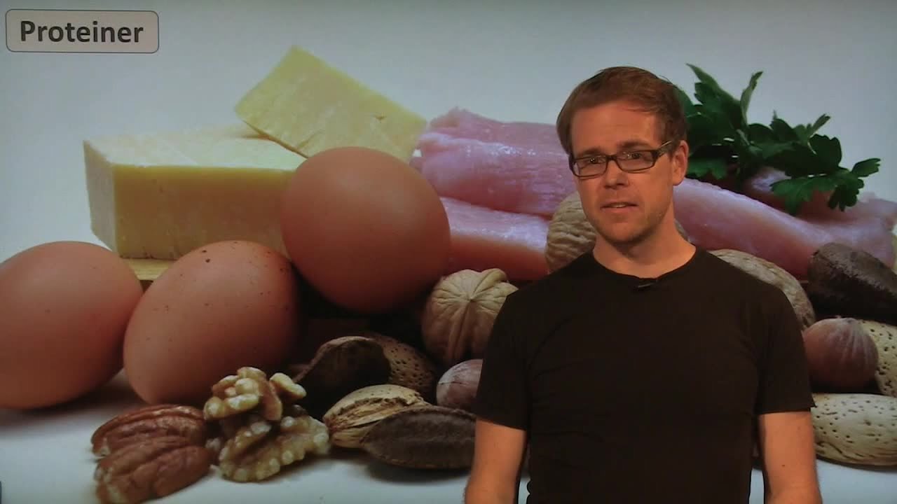 Naturfag: Proteiner - YouTube