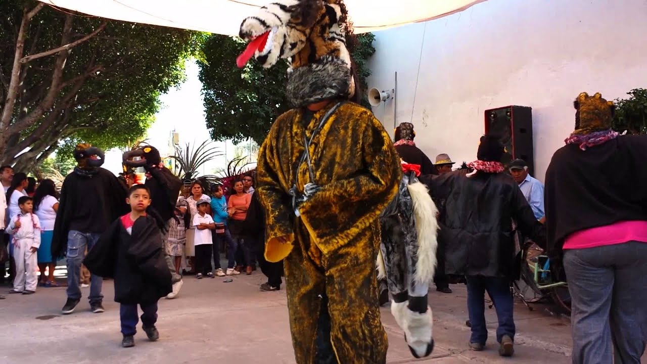 DANZA DE LOS ZOPILOTES. FERIA DE AXOCHIAPAN 25 DE ENERO - YouTube