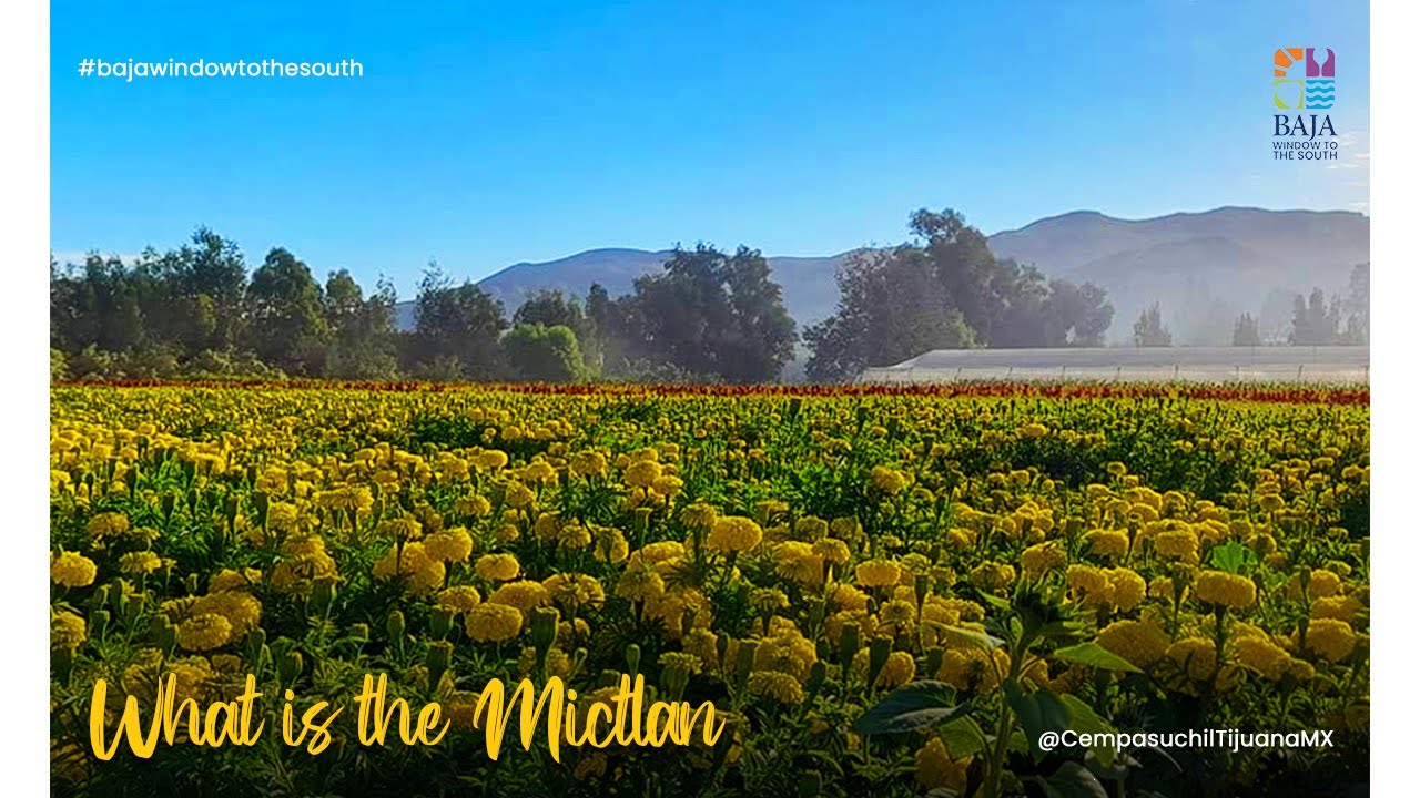 Visit Mictlan in Tijuana 💀 - YouTube