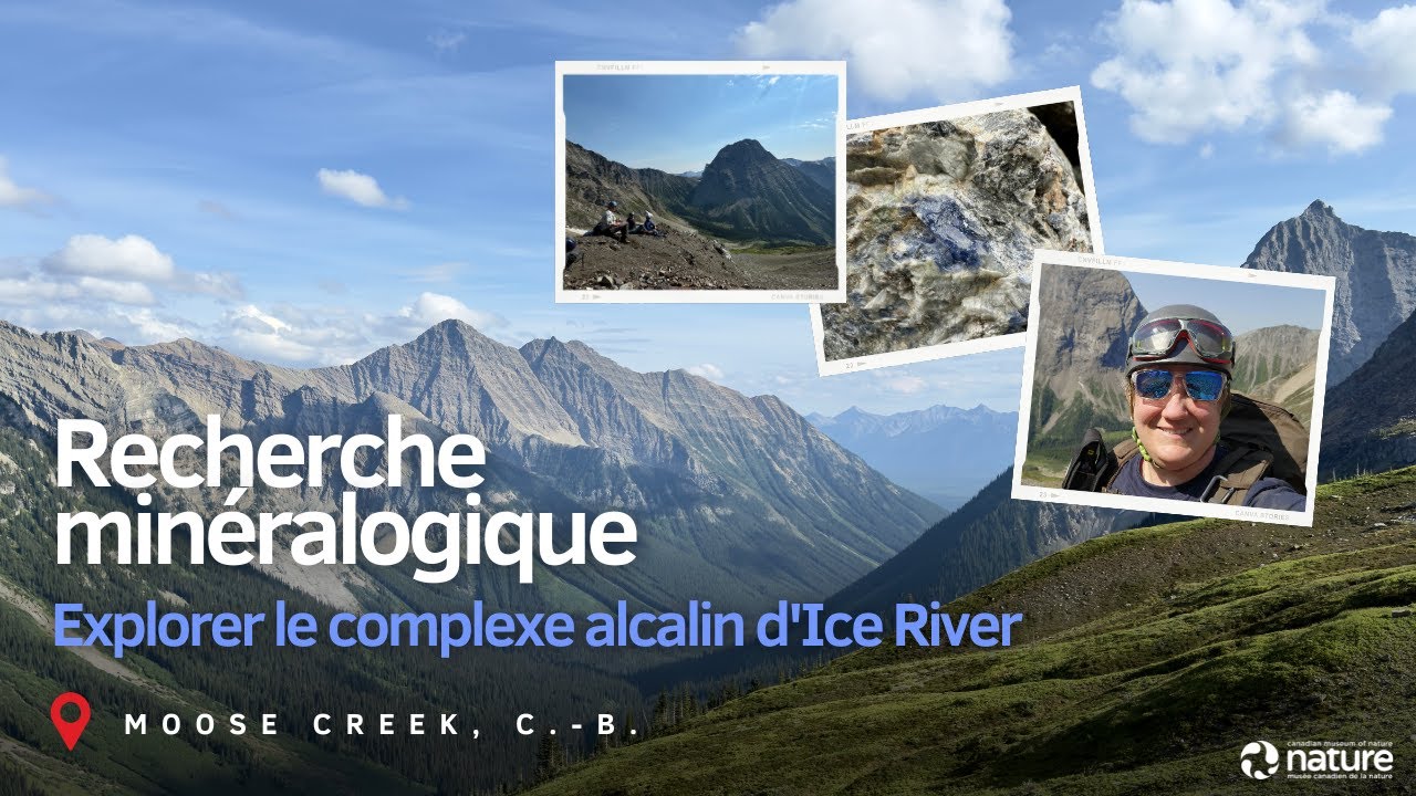 Travail de terrain en botanique - Musée canadien de la nature