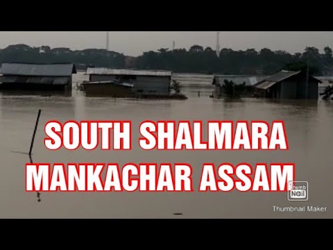 Mankachor flood ll Assam flood ll South Shalmara flood ll Hath ...