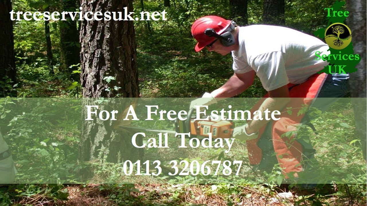 Tree Surgeon Rothwell Leeds LS26 - Tree Felling And Removal Services ...