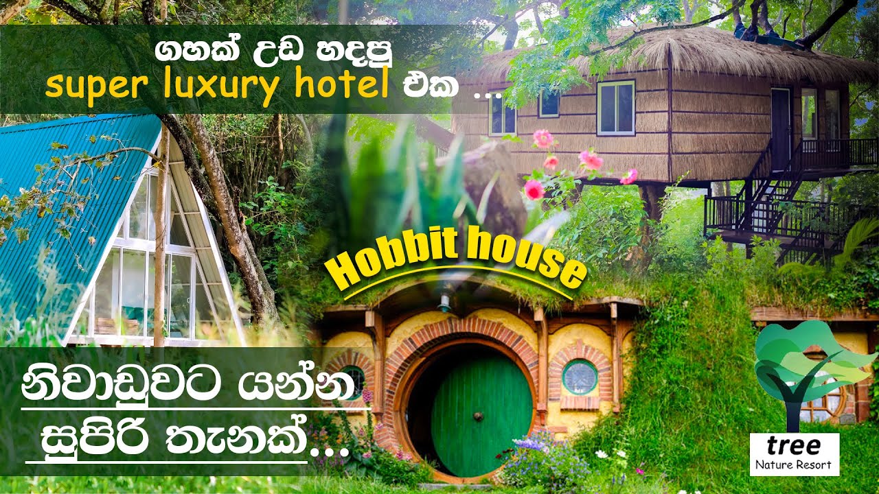 නිවාඩුවට යන්න සුපිරිම තැනක්.. ගස් උඩ හදපු සුපිරි නවාතැන.🤭 Tree Nature ...