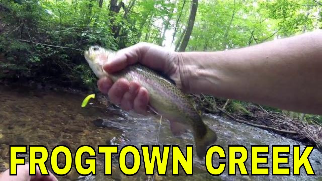 FROGTOWN CREEK TROUT FISHING TRIP AND TIPS - YouTube