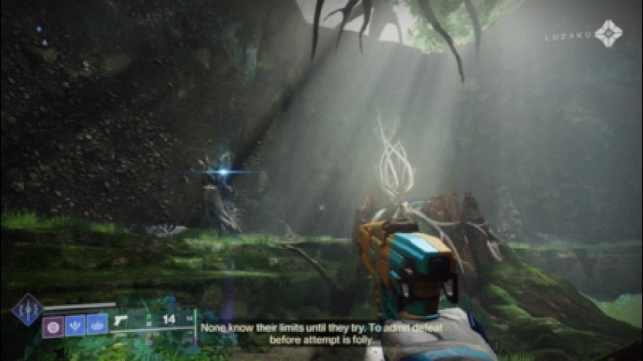 The Blooming Deep | Zavala: "You Want to Change the Hearts of the ...