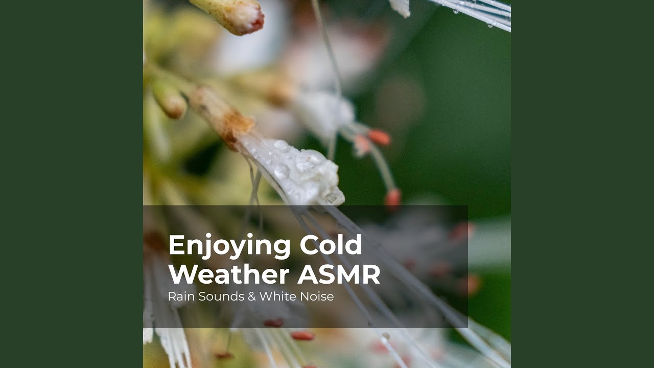 Rain During Winter - YouTube