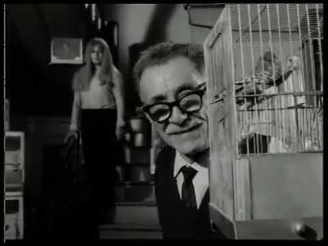 Bir Şoförün Gizli Defteri - 1967 -Tanıtım