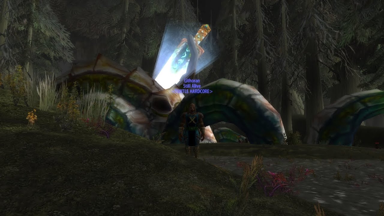 Turtle Paladin - Zone 7 - The Master's Glaive - (Darkshore Part 6 ...
