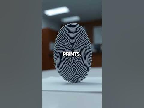 Every Dog's Nose: A Unique Fingerprint You Never Knew! - YouTube