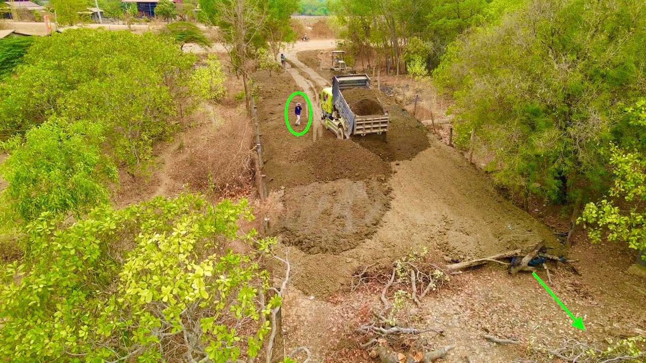 Amazingly the experts poured soil clear a place to make the space ...