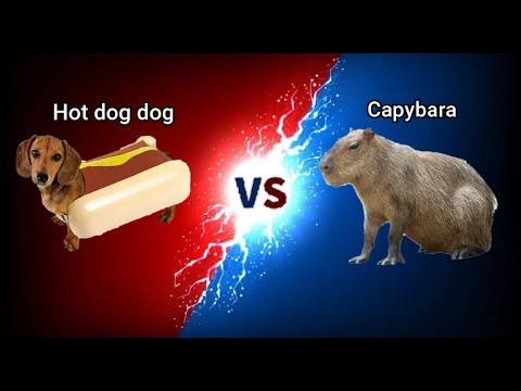 Tur ip ip ip hot dog dog VS Okay, I pull up, hop out at the after party ...