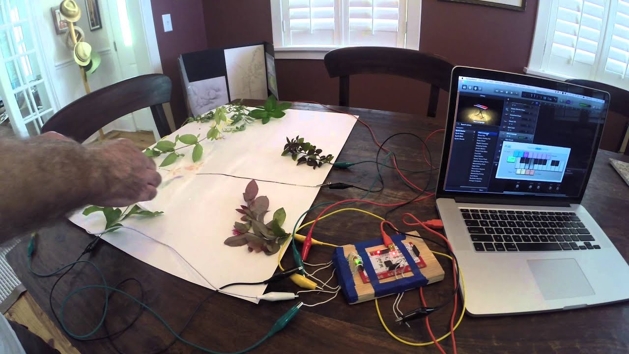 Makey MaKey Plant Circuit - YouTube