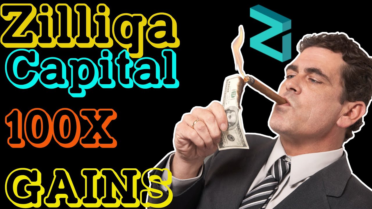 Zilliqa Holdlers Watch This! $ZIL Can 100x Realistically Because Of ...