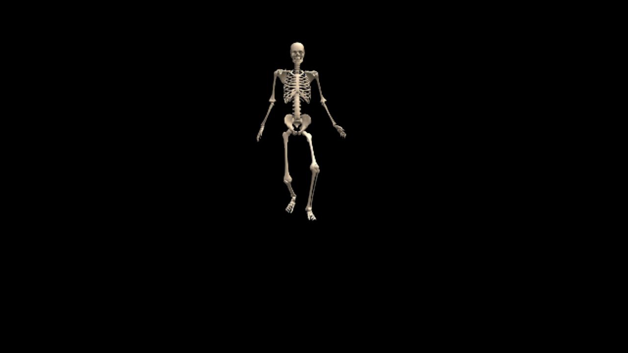 Grade 5 CCS Human Body Bones And Muscles YouTube Grade 5 CCS Human Body Bones And Muscles YouTube
