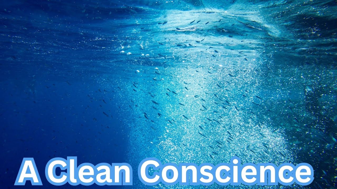 " A Clean Conscience " Monday Evening Revival Service 8/7/23 7:00 PM ...