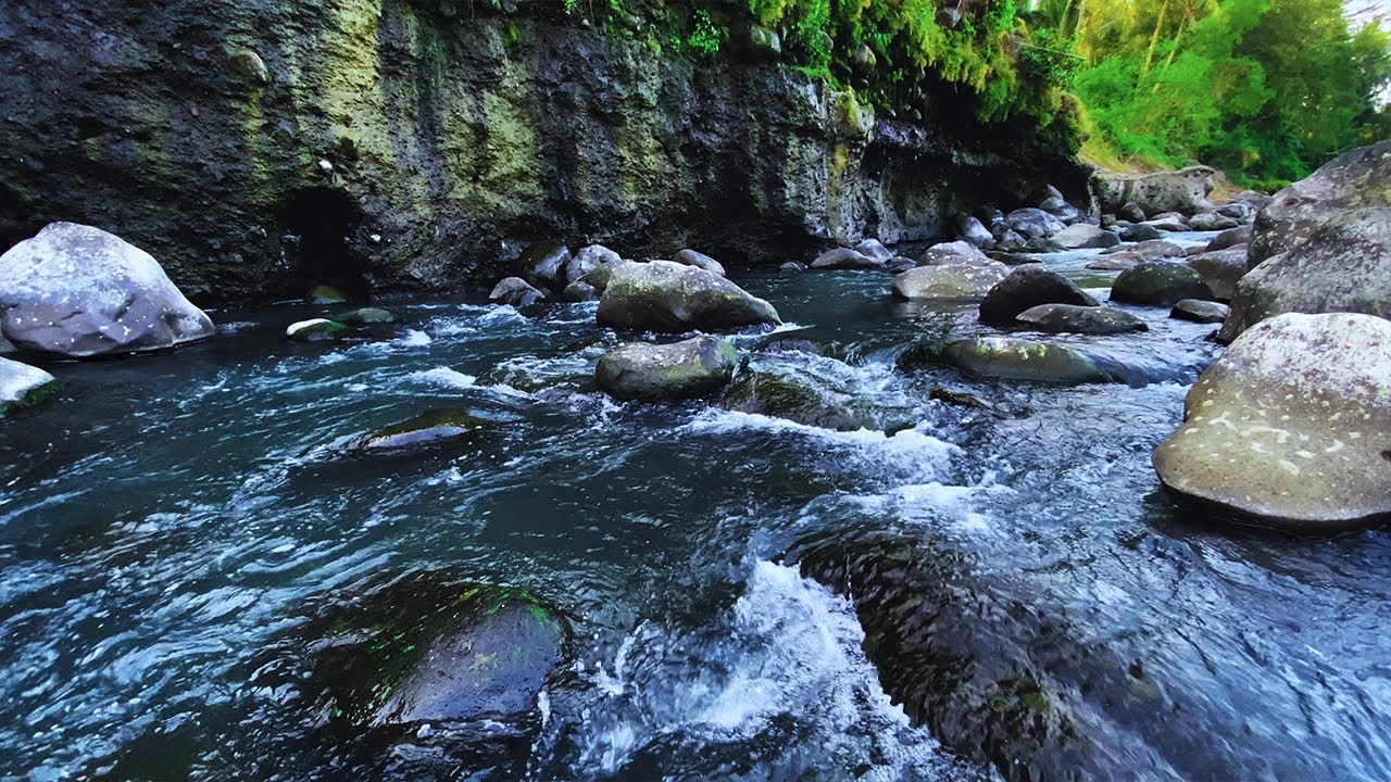 Magical Forest Atmosphere, Birds Chirping, Babbling Brooks, ASMR Water ...