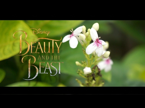 Beauty and The Beast ( Disney Cover ) | Alya Nur Zurayya ft. Memes & Kevin Ruenda