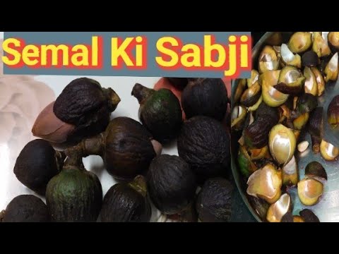 Semal Ki Recipe. Uttrakhandi semal ki sabji. how to make semal ki sabji ...