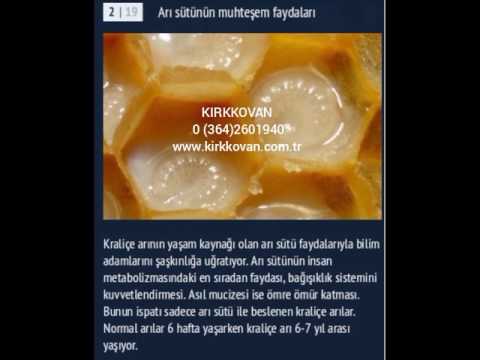 Arı sütünün muhteşem faydaları mutlaka izleyin.