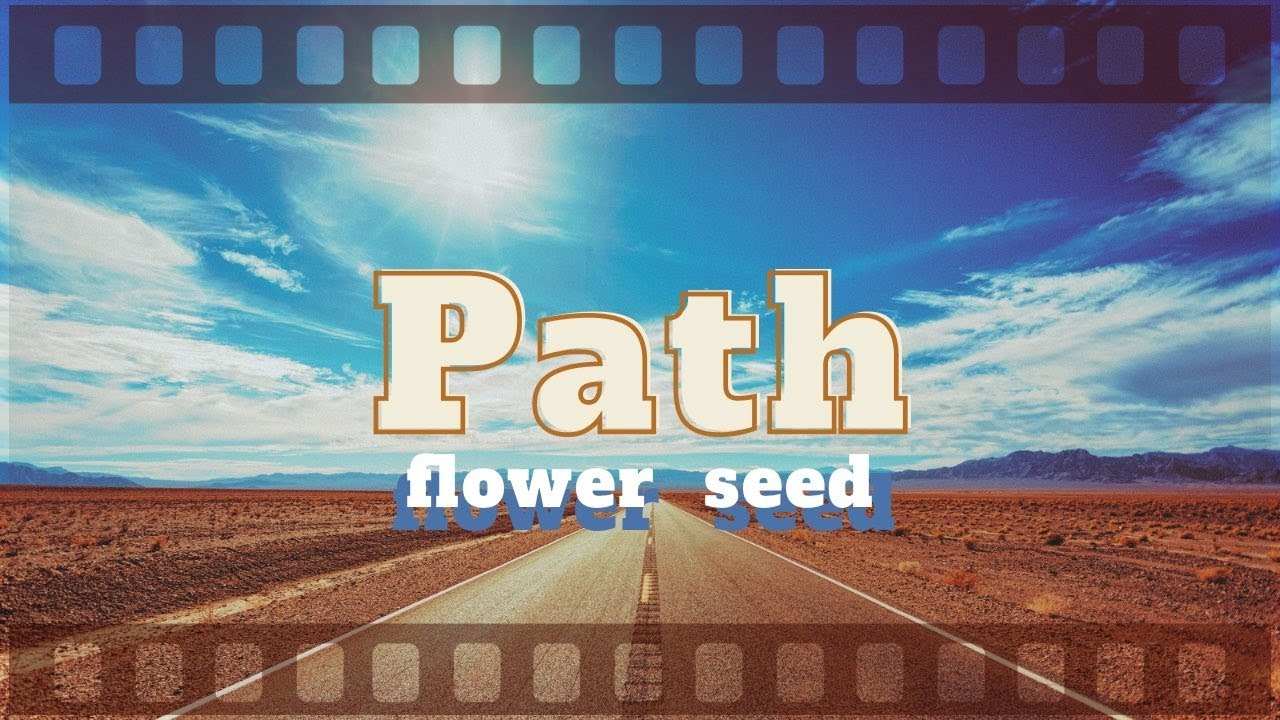 flower seed -「Path」 - YouTube
