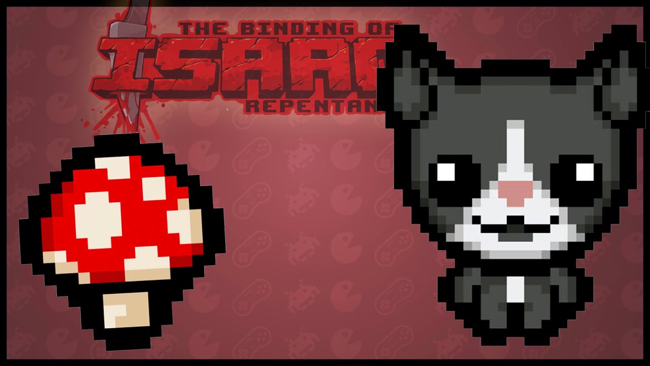 Gato segue imbatível? The Binding of Isaac: Repentance - YouTube