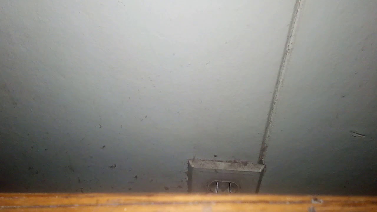 Sid the Science Kid Rug Time Song - YouTube