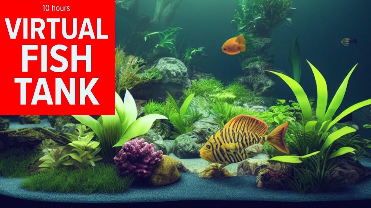 9 Hour Virtual Fish Tank for Sleeping - Part 2 - YouTube