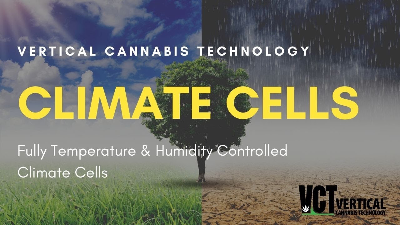 Climate cells - YouTube