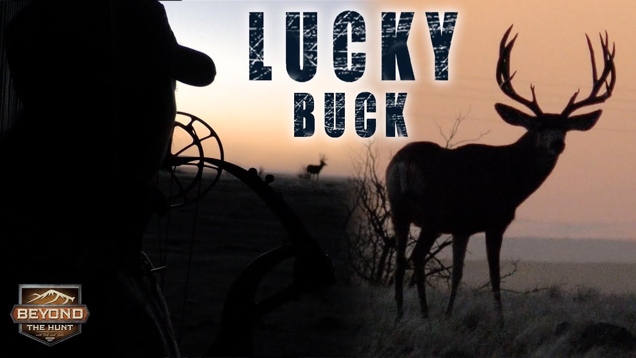 LUCKY Buck - YouTube