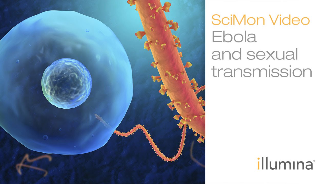 Ebola and sexual transmission | Illumina SciMon Video - YouTube