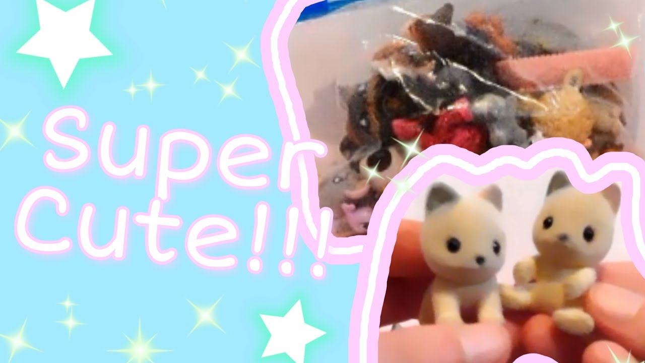 MY FIRST CALICO CRITTERS!!! LPS Littlest Pet Shop Calico Critters Gift ...