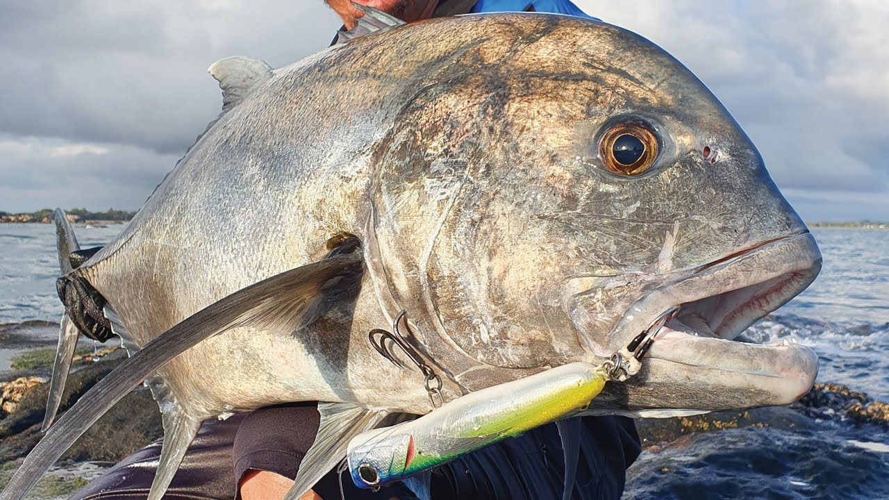 Landbased GT popping with MASSIVE TOPWATER EXPLOSION! - YouTube
