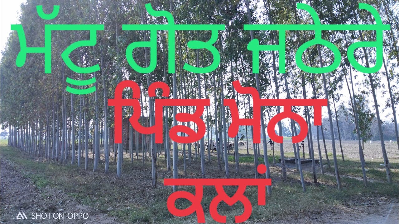 Mattu jathere ।। Mona kalan - YouTube