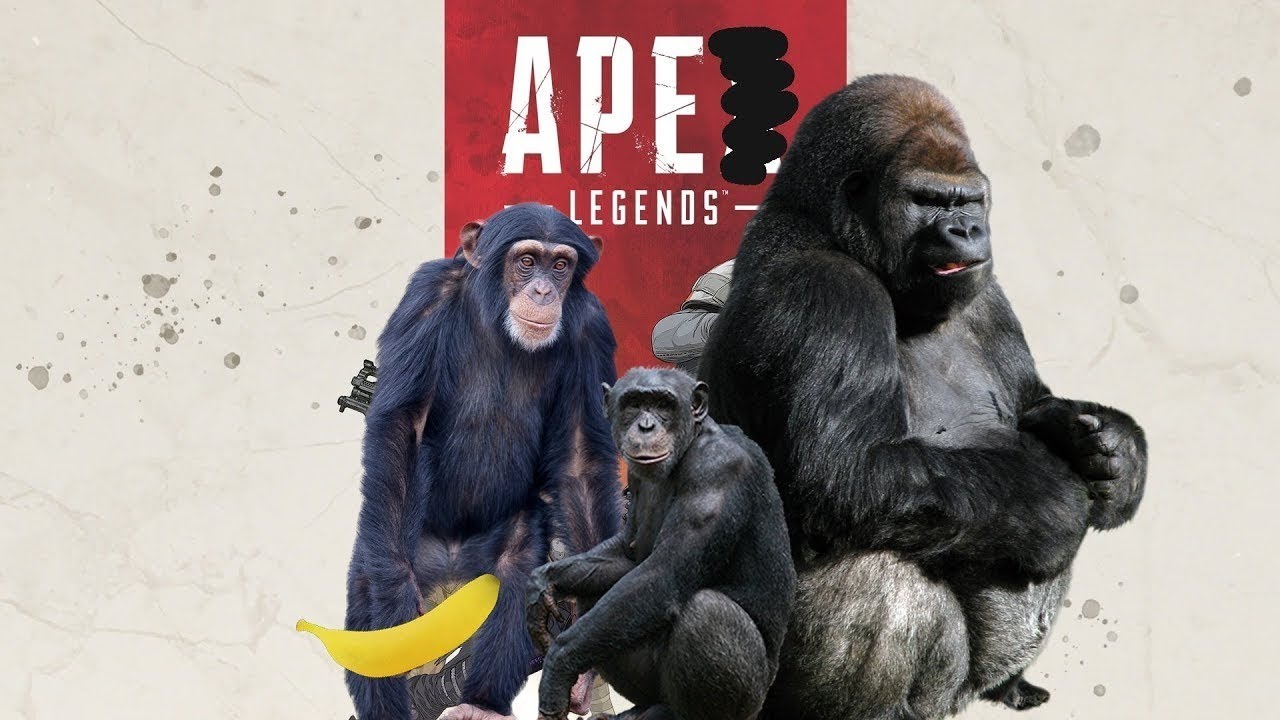 APES LEGENDS With by friends \ Обезьяньи легенды - YouTube