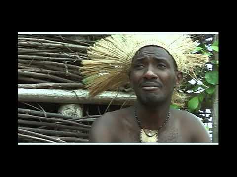 Amananiza - Steven Sogo 2009