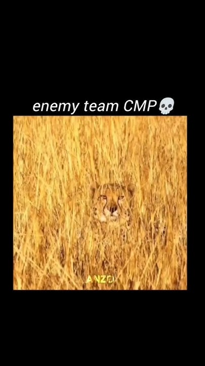 Our Team CMP🤣🤣...##free fire ##garena #gaming #scary Dad Gaming - YouTube