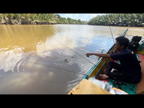 Keseruan Mancing Udang Tak Jauh Dari Rumah.  Hasil Tak Bikin Kecewa. Langsung Di Masak. #mancing 