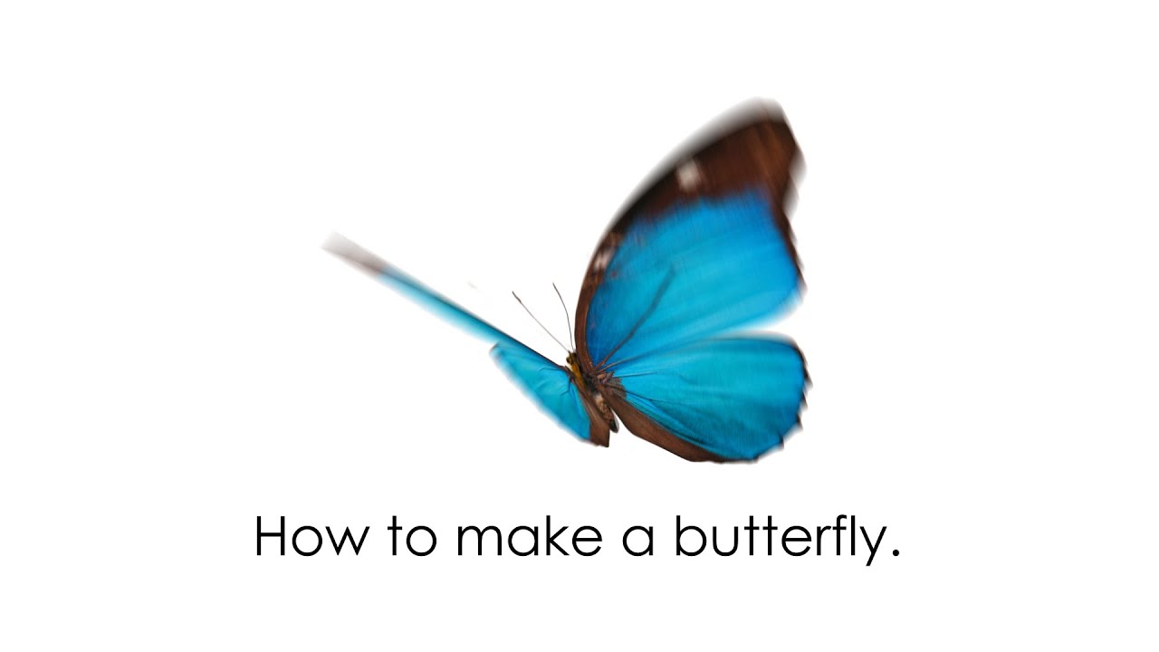 AfterEffectsで作る蝶 how to make an animate butterfly by AfterEffects - YouTube