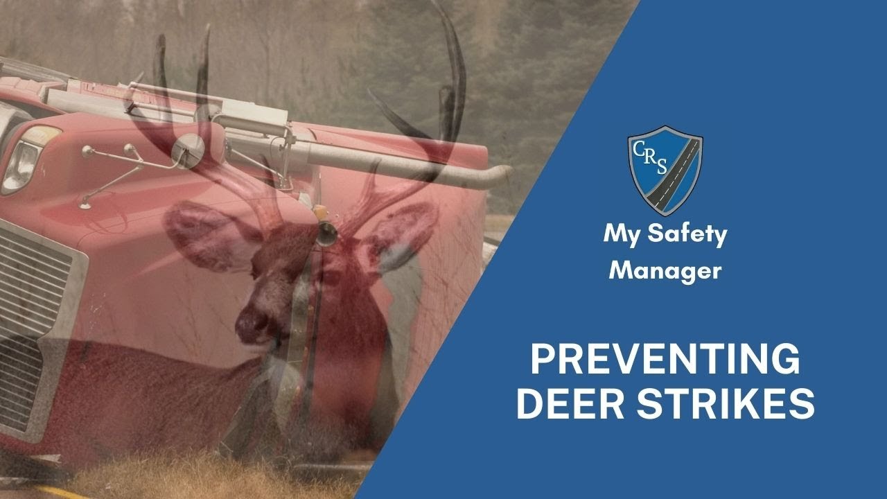 Preventing Deer Strikes - YouTube