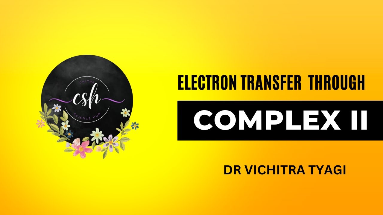 ELECTRON TRANSPORT CHAIN PART2 ELECTRON TRANSFER THROUGH COMPLEX II ...