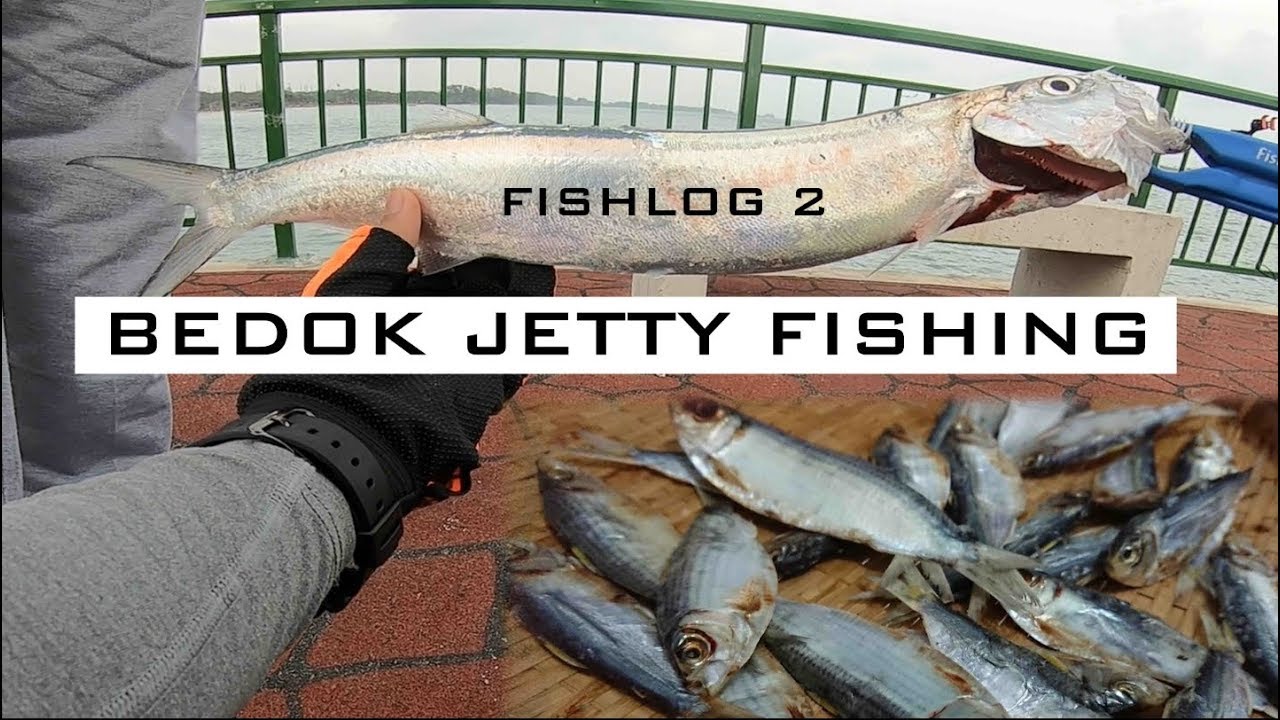 Bedok Jetty Fishing: How to make TUYO - YouTube