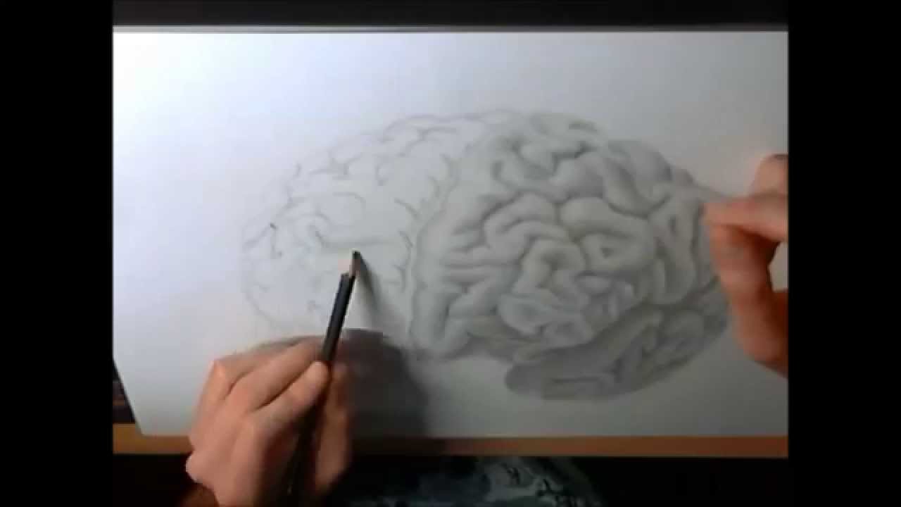 Drawing a Brain with Right and Left Hand (Speed Drawing) - YouTube